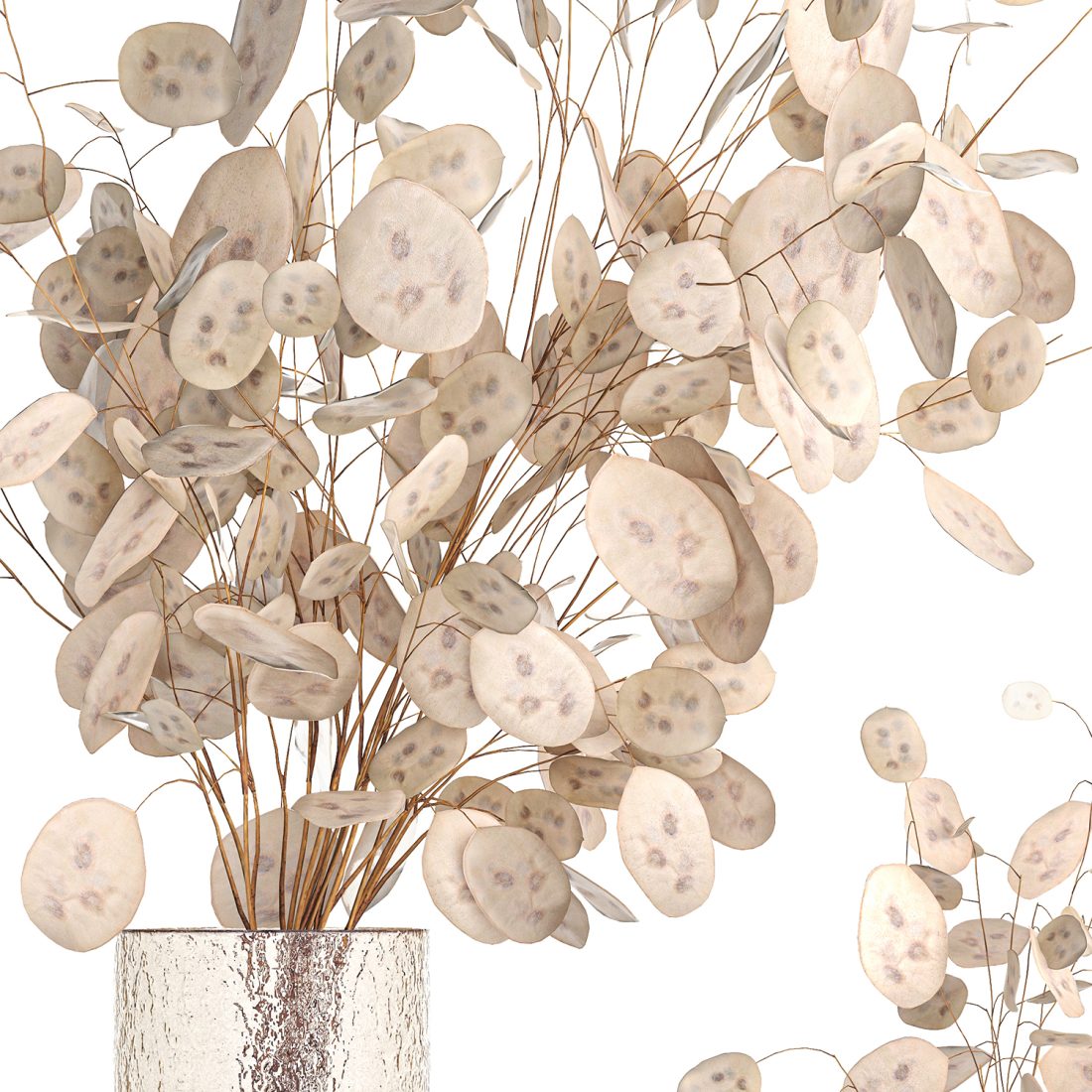 Set Of Bouquets Of Dried Flowers Lunaria Branches - 3D Model for VRay