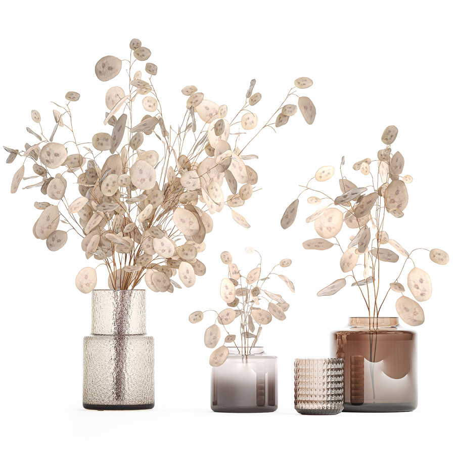 Set Of Bouquets Of Dried Flowers Lunaria Branches - 3D Model for VRay