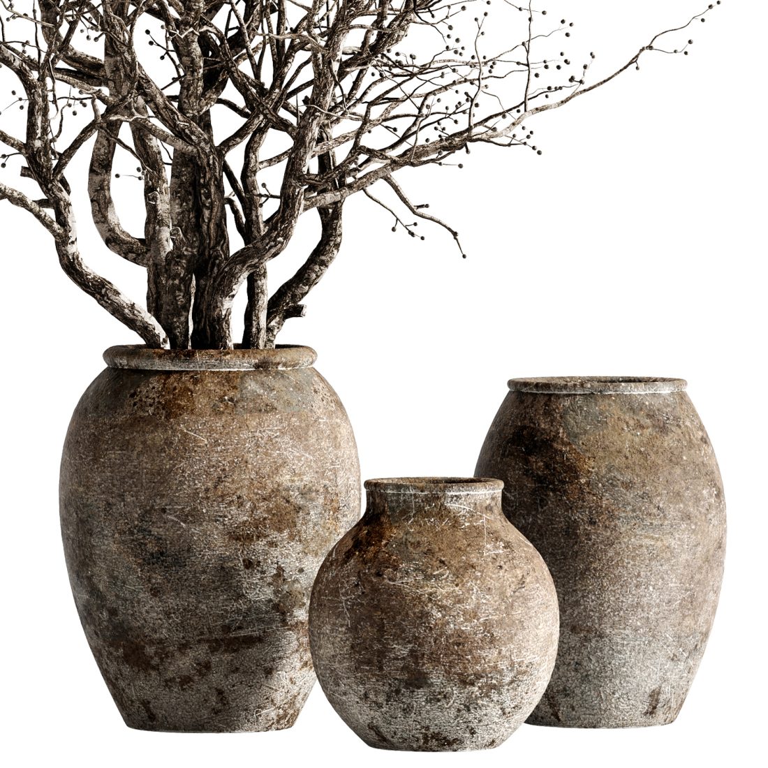 Indoor Stem And Branch Potted Plants 3D Model for VRay, Corona | CGMood