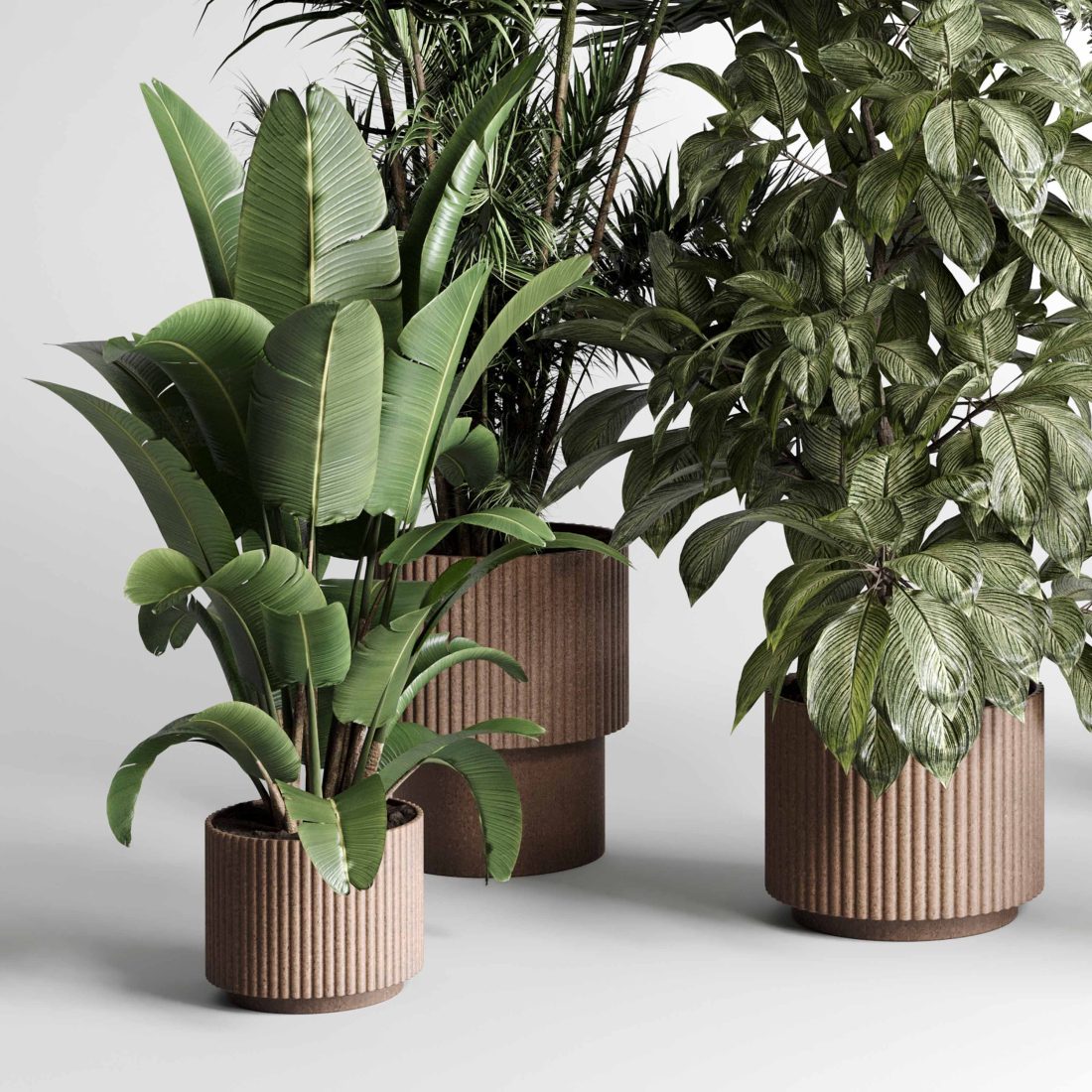 Indoor Plant 466 Pot Plant Ravenala Palm Tree Conc 3D Model for VRay ...