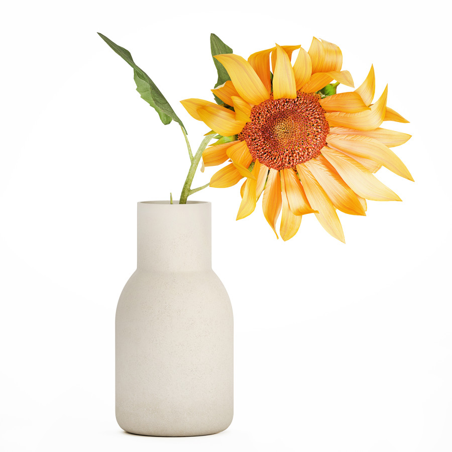 Yellow Flower Bouquet Of Sunflower In Ceramic Vase - 3D Model for VRay