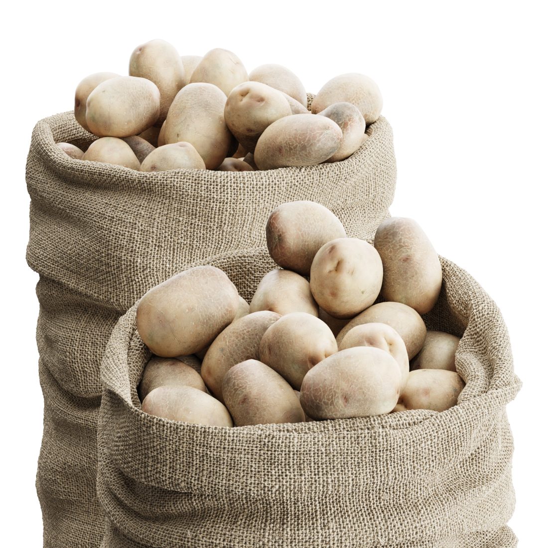 A Sack Of Potatoes 3D Model for Corona | CGMood
