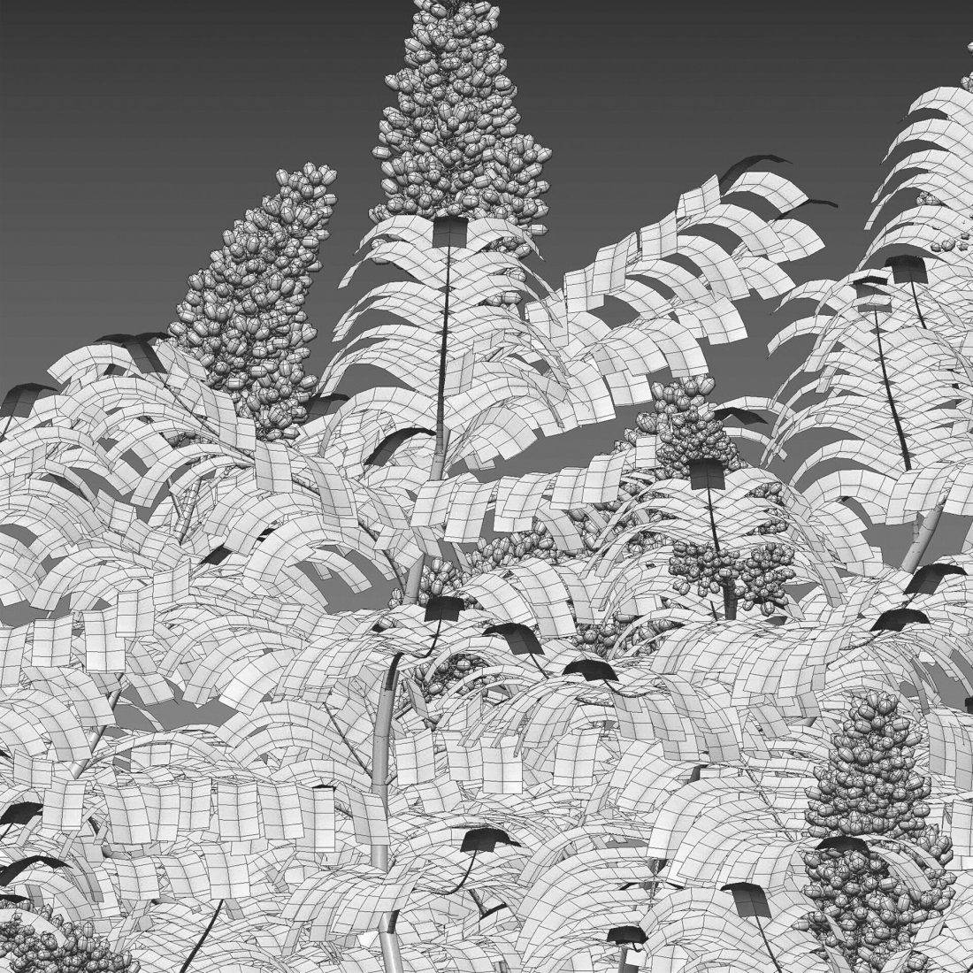 Rhus Typhina - Staghorn Sumac 03 - 3D Model for VRay, Corona