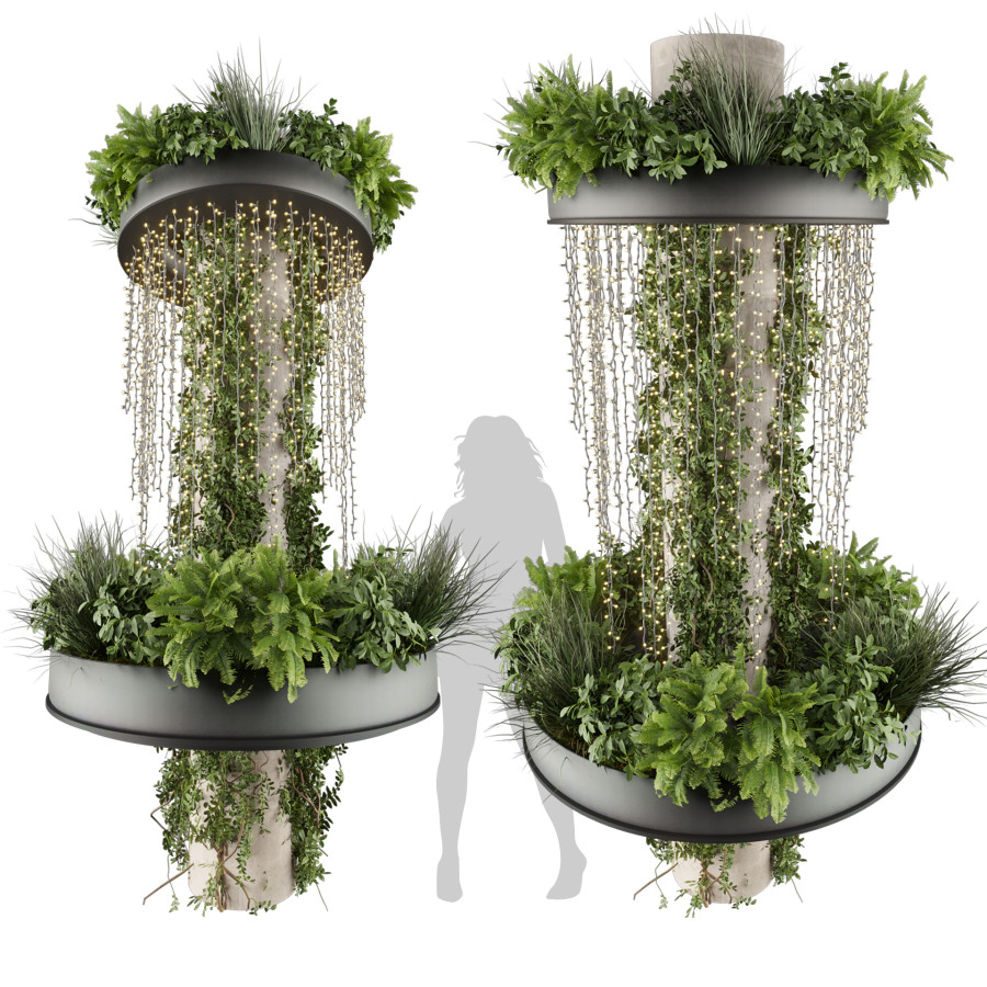 High-quality 3d Plant Collection Vol 624 - Ampelou - 3D Model for VRay ...