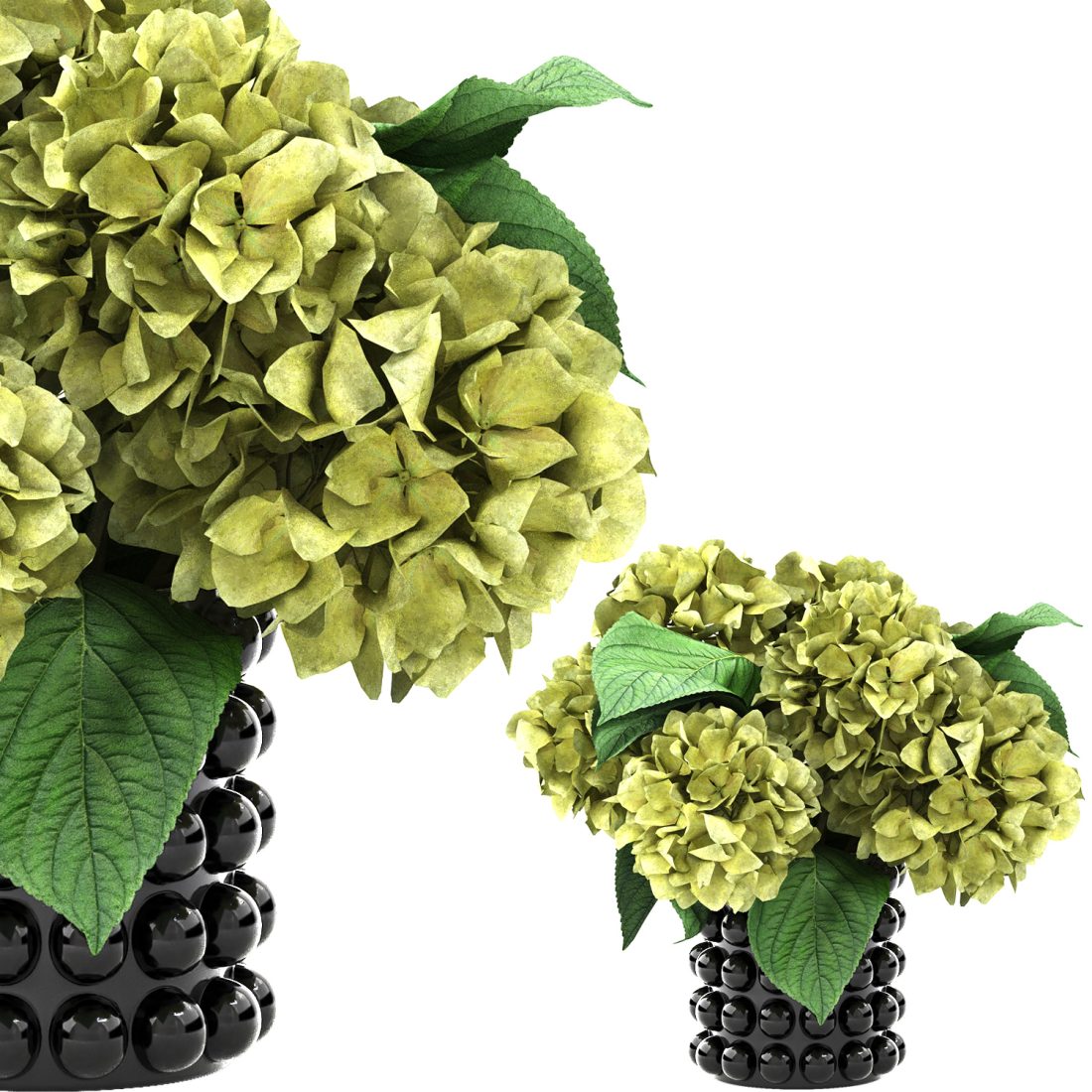 Ceramic Vase Of Hydrangea - 3D Model for VRay, Corona