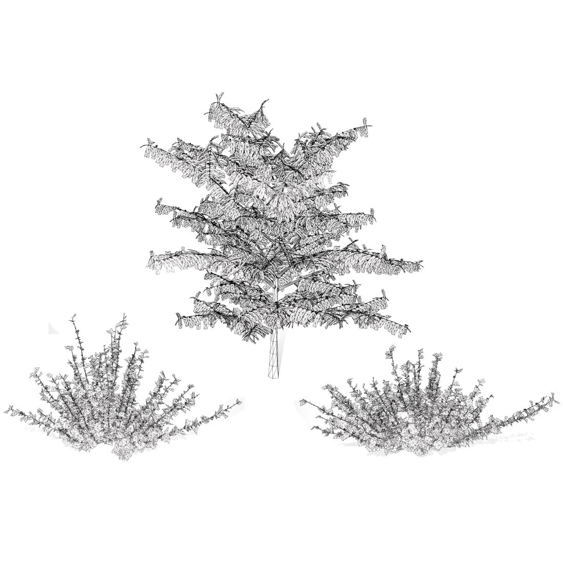 Flander Gooseberry Bush 3d Model - 3D Model for VRay, Corona