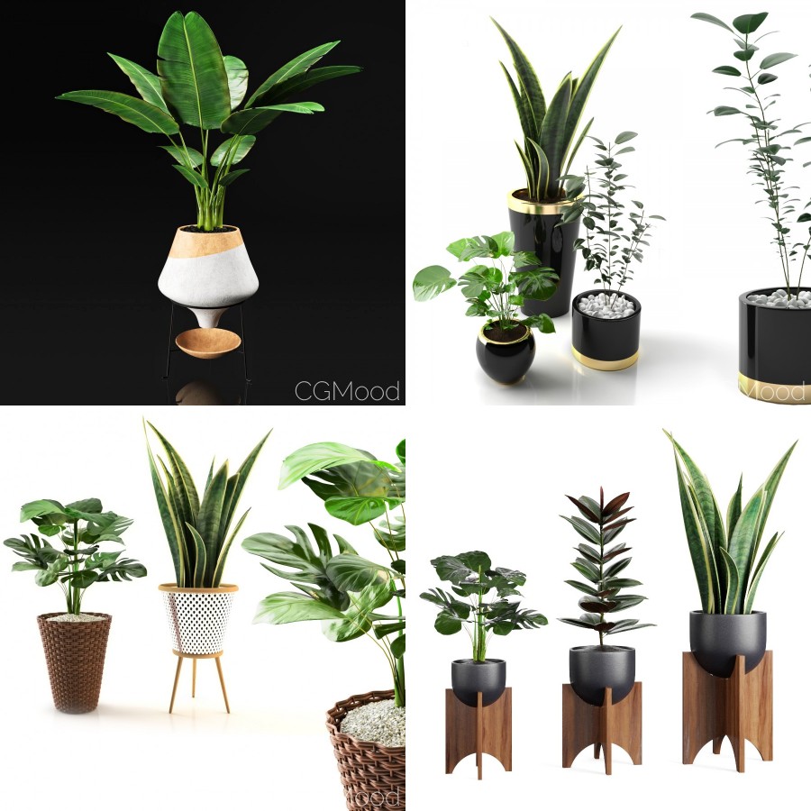 Plant Collection 02 - 3D Model for VRay, Corona