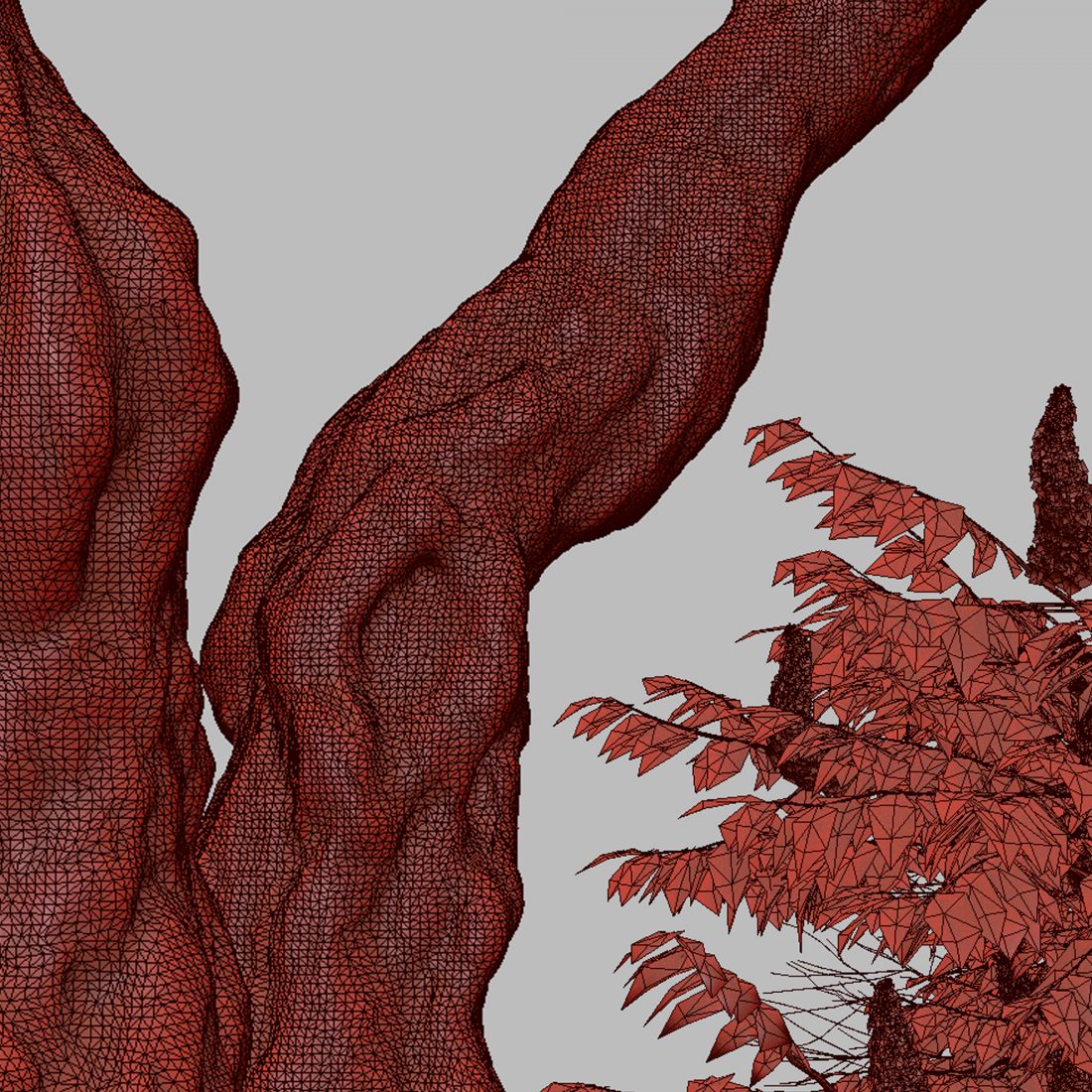 Set Of Rhus Typhina Tree (Staghorn Sumac)(2 Trees) - 3D Model for VRay