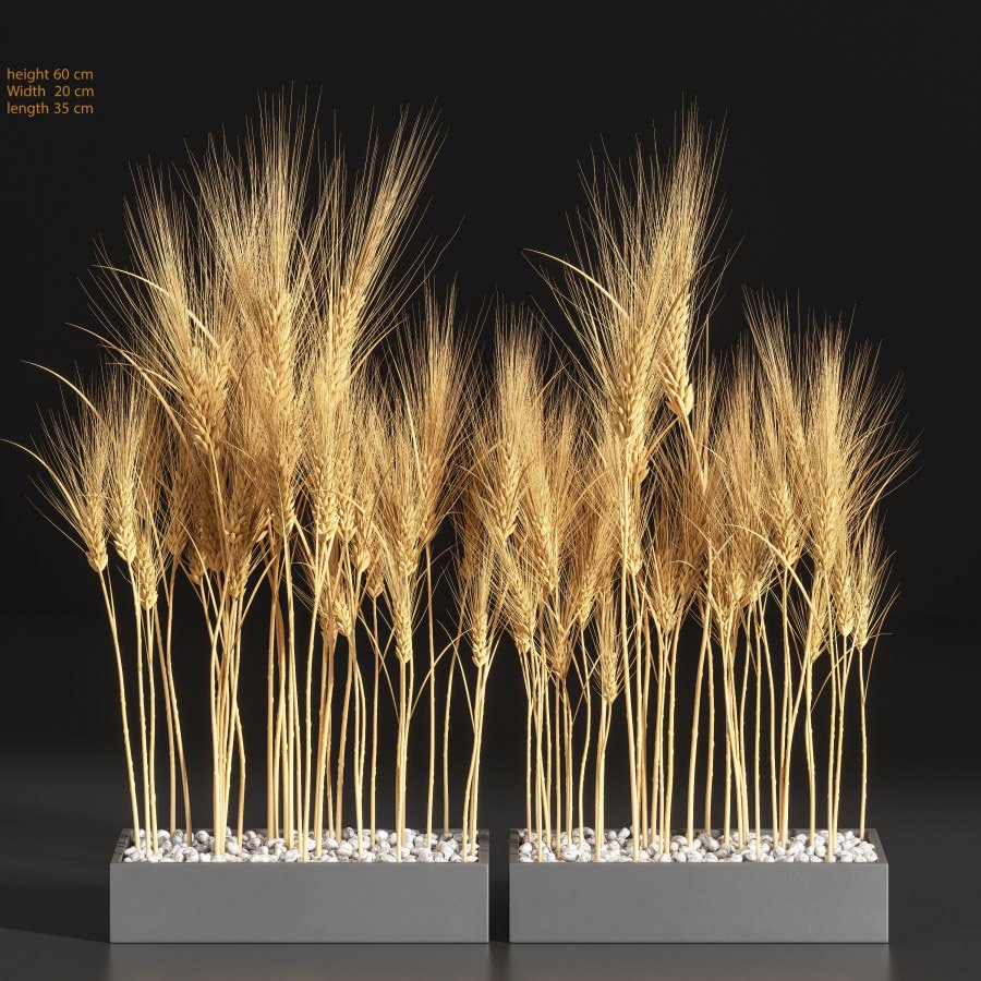 Wheat Box - 3D Model for VRay, Corona