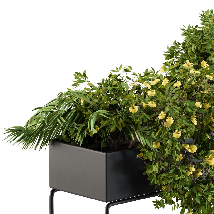 Black Plant Box With Yellow Flowers - 3D Model for VRay, Corona