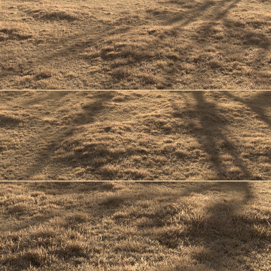 Dried Grass Landscape 3D Model for VRay, Corona | CGMood
