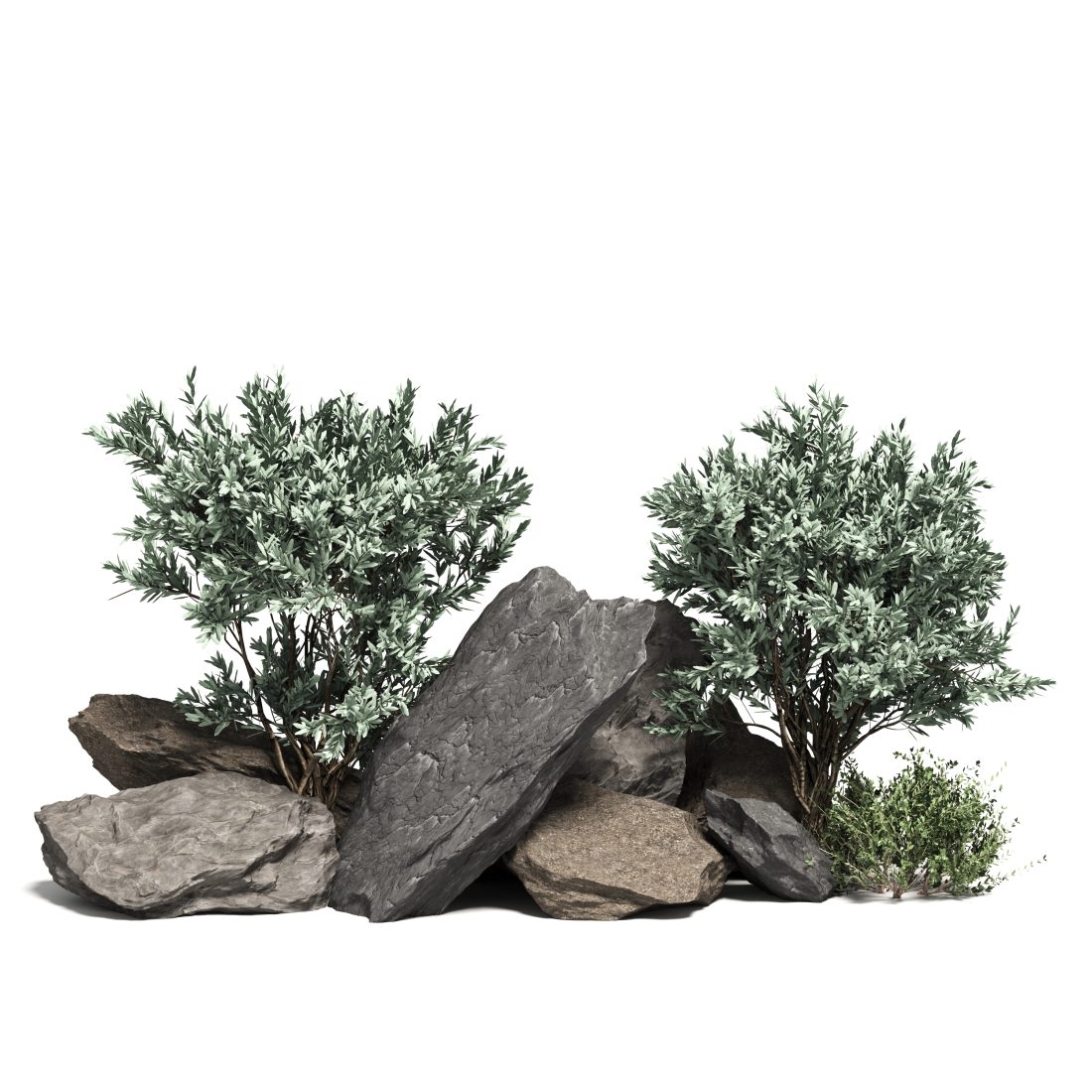 Stone+bush Pack 2 3D Model for Corona | CGMood