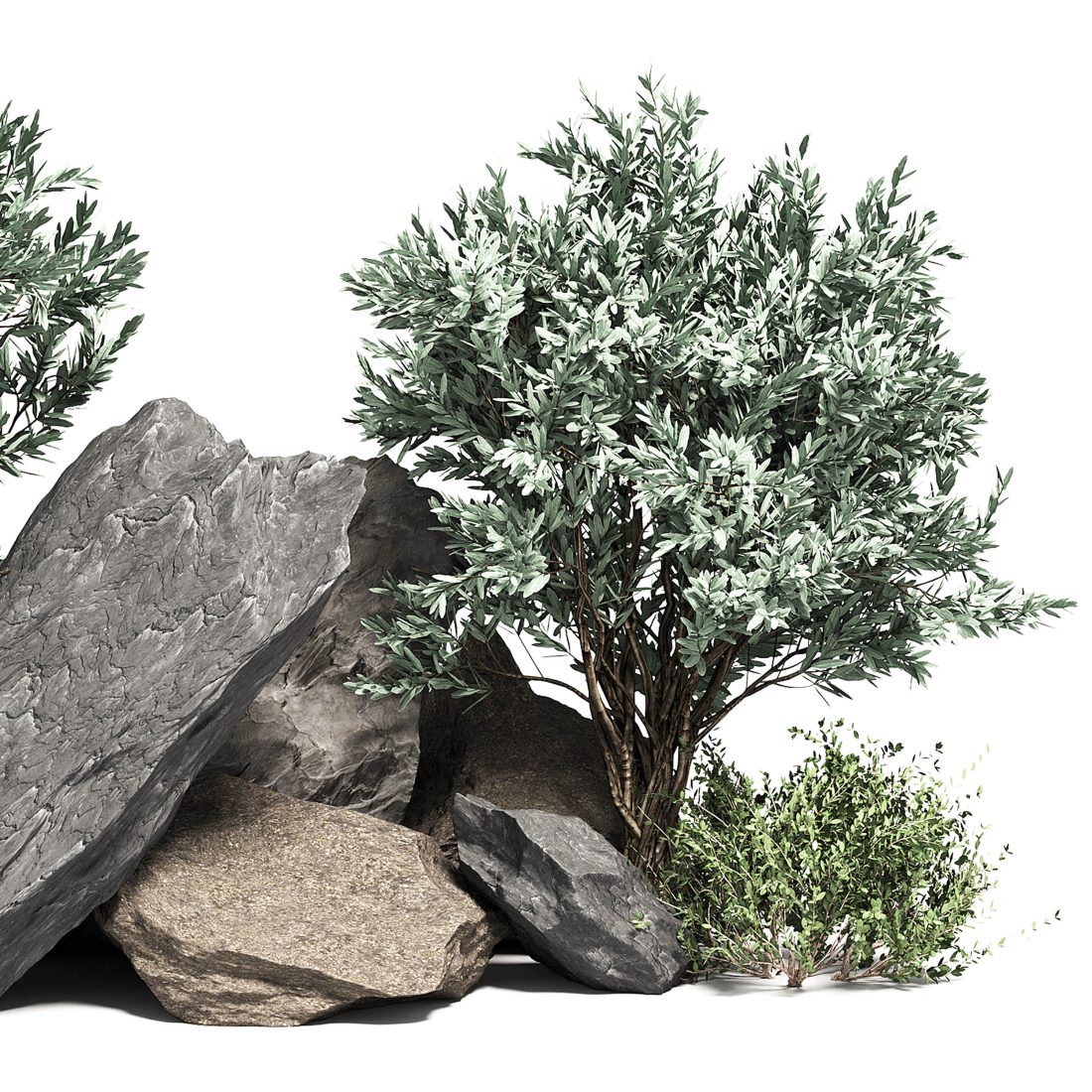 Stone+bush Pack 2 3D Model for Corona | CGMood