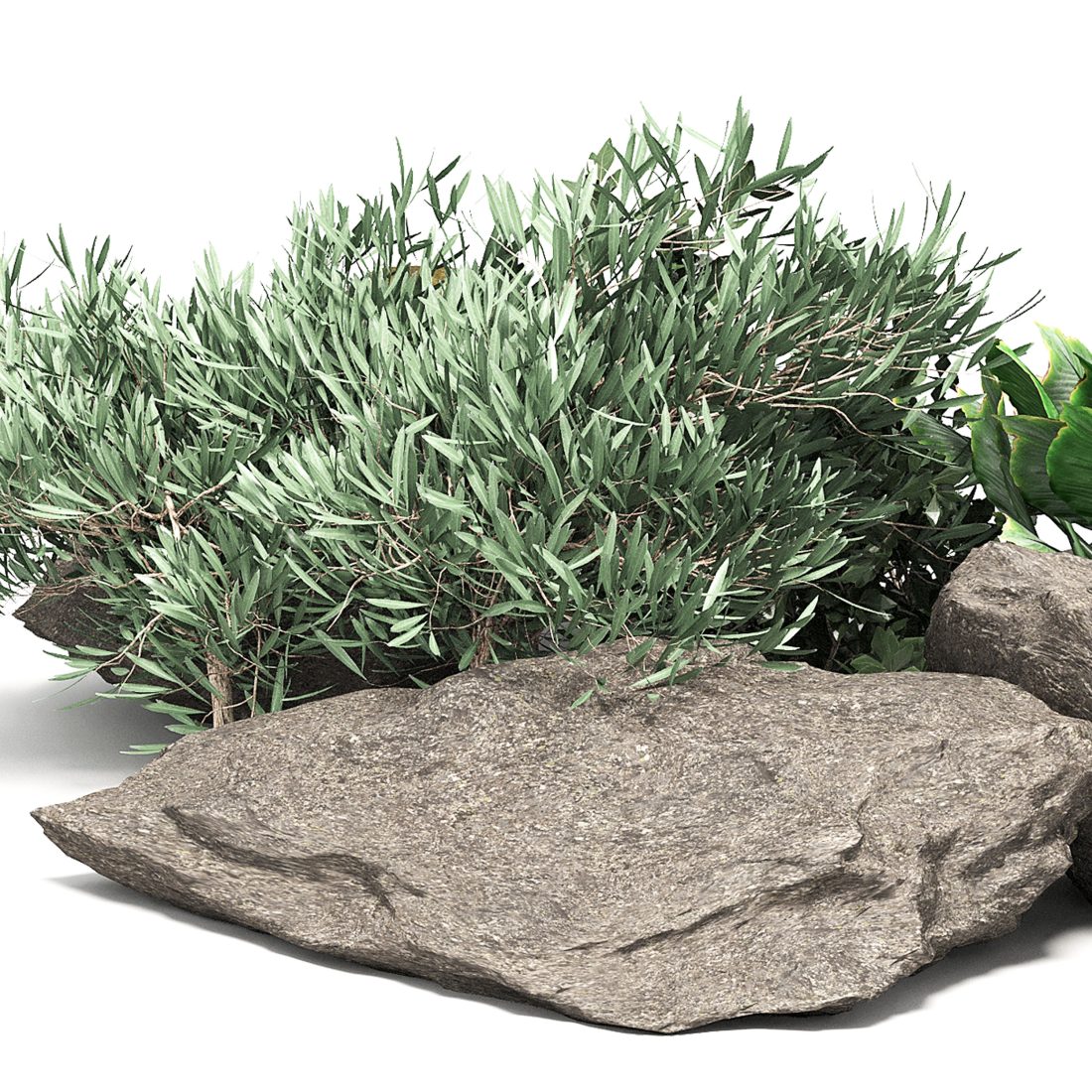Stone+bush Pack 18 - 3D Model for Corona