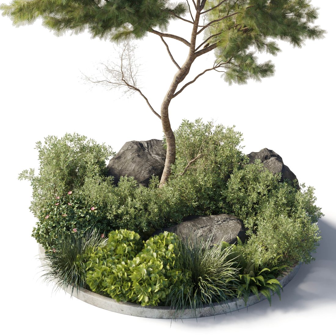 Collection Outdoor Indoor 81 Pot Plant Tree Corona - 3D Model for Corona