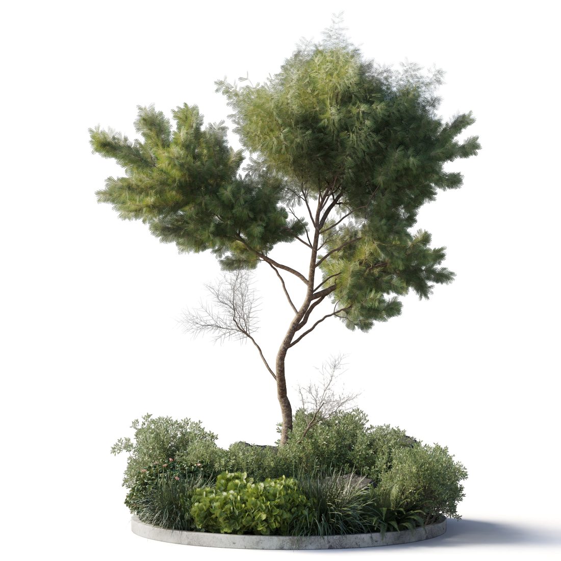 Collection Outdoor Indoor 81 Pot Plant Tree Vray - 3D Model for VRay