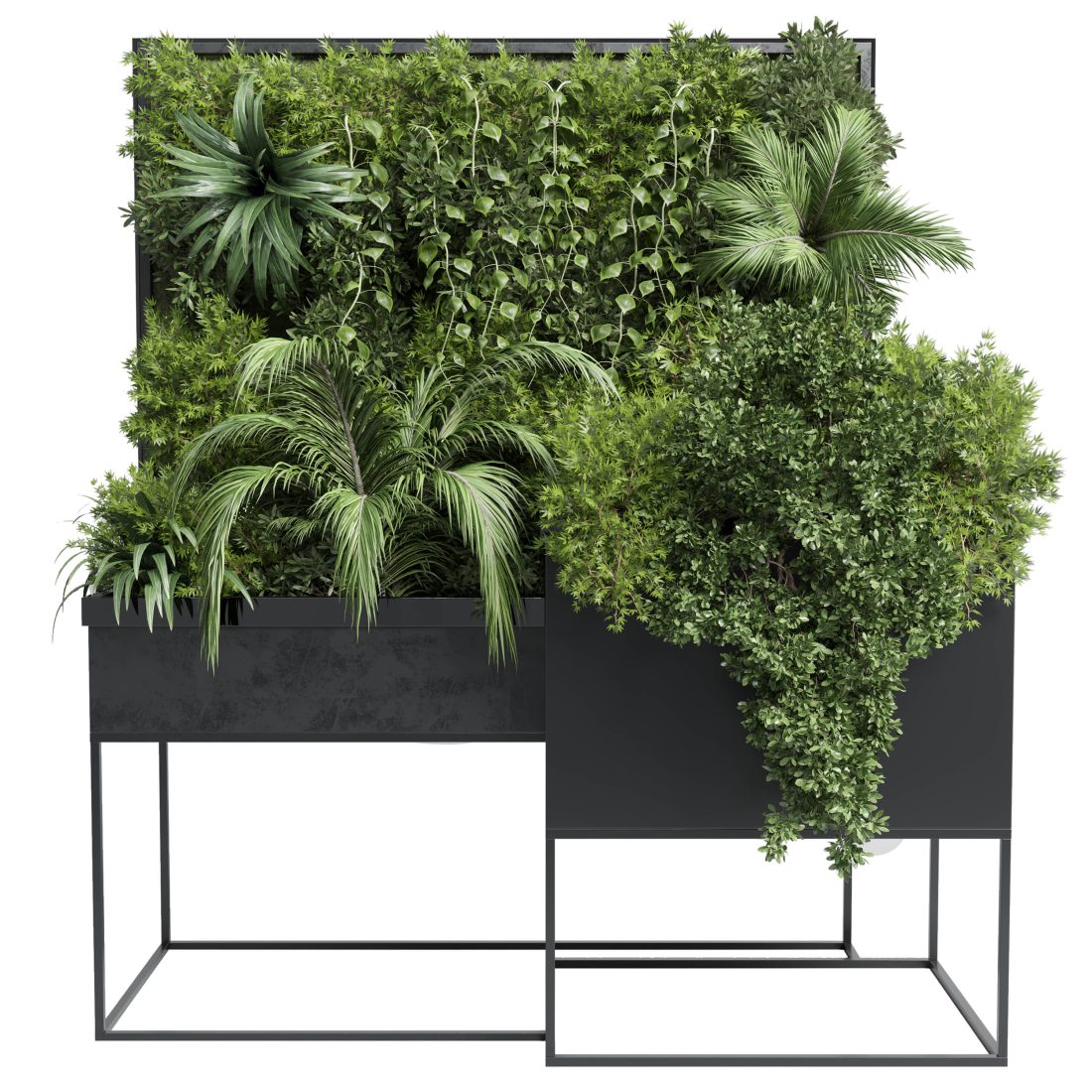 Box Plants On Stand - Collection Of Outdoor Plants - 3D Model for VRay ...