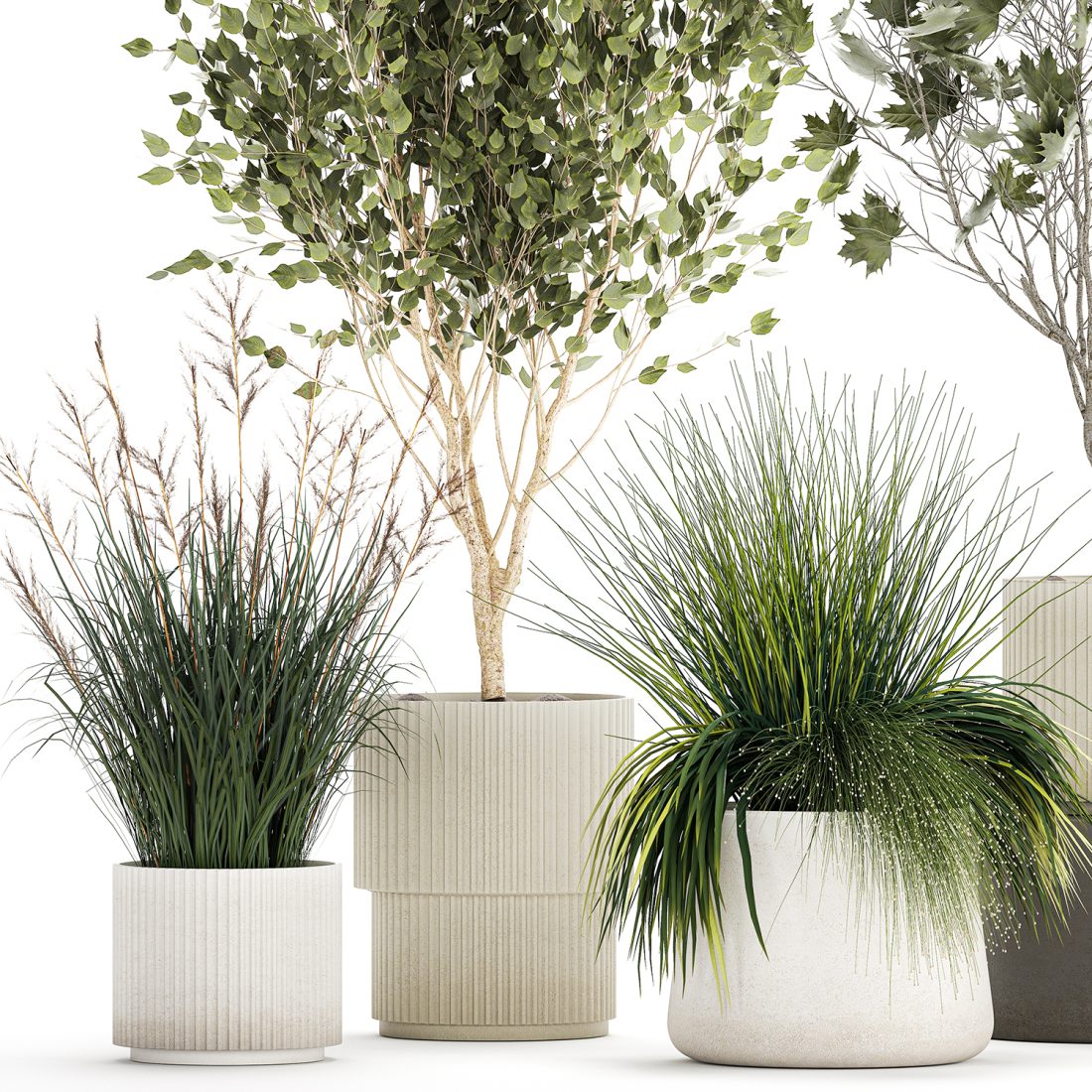 Beautiful Bushes, Trees And Grass In A Flower Pot - 3D Model for VRay