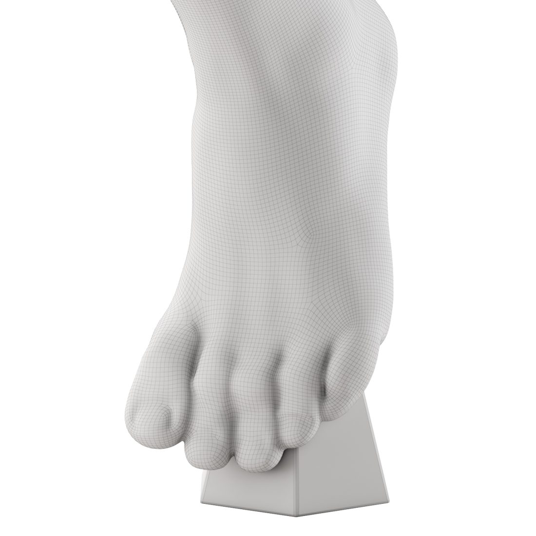 Ecorche Plaster Training Manual Foot Vertical - 3D Model for VRay