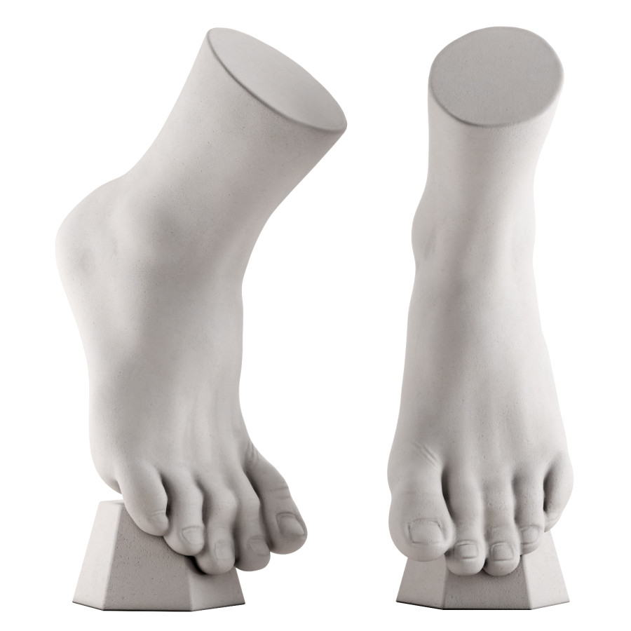 Ecorche Plaster Training Manual Foot Vertical - 3D Model for VRay