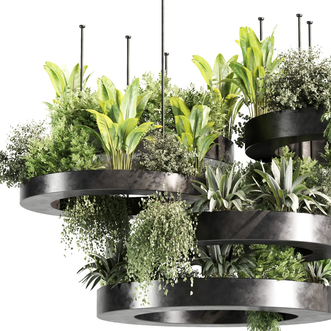Indoor Plants-hanging Plants Set-30 - 3D Model for VRay, Corona