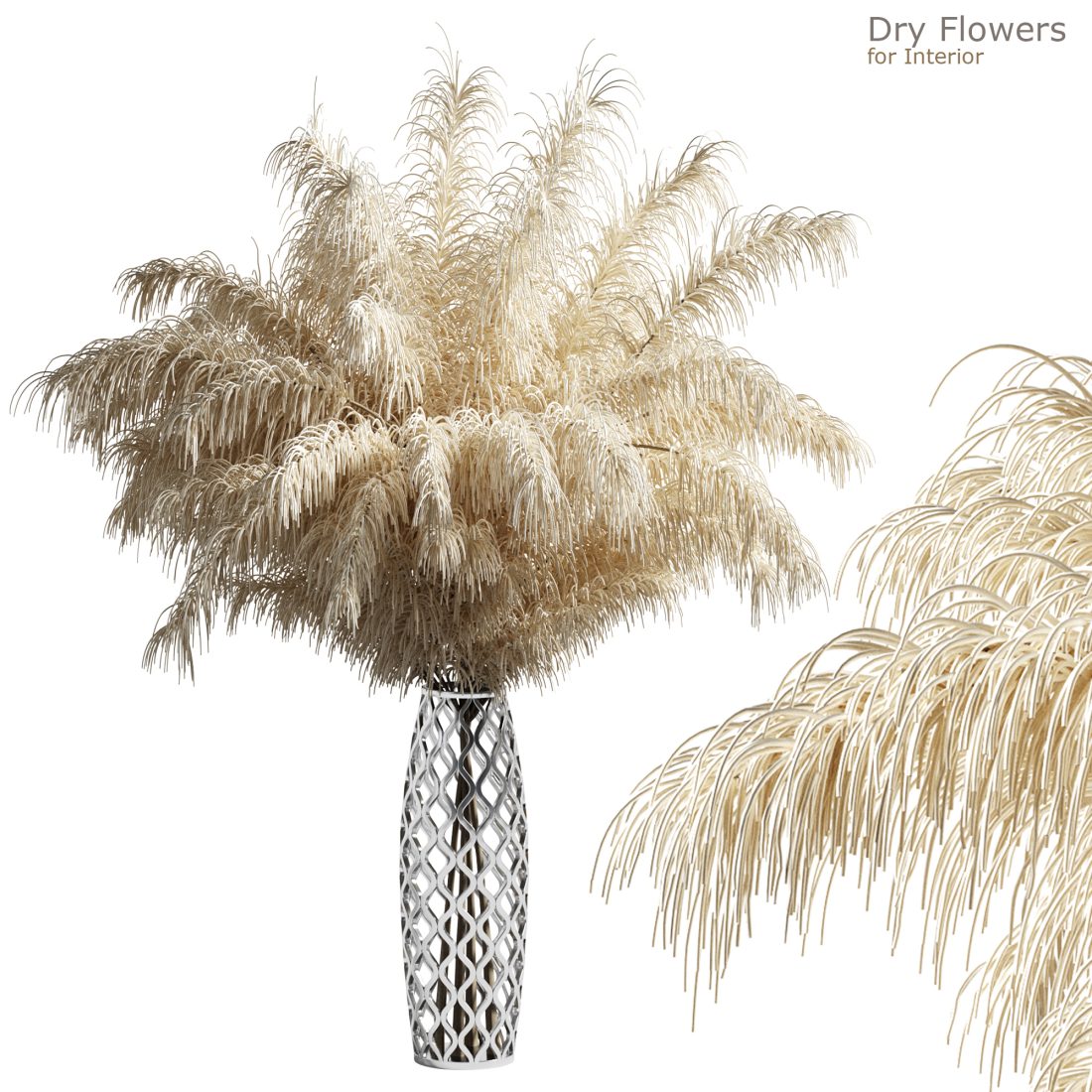 Dry Flowers 3D Model for Corona | CGMood