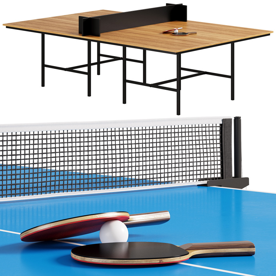 Ping Pong Table Dan - 3D Model for Corona