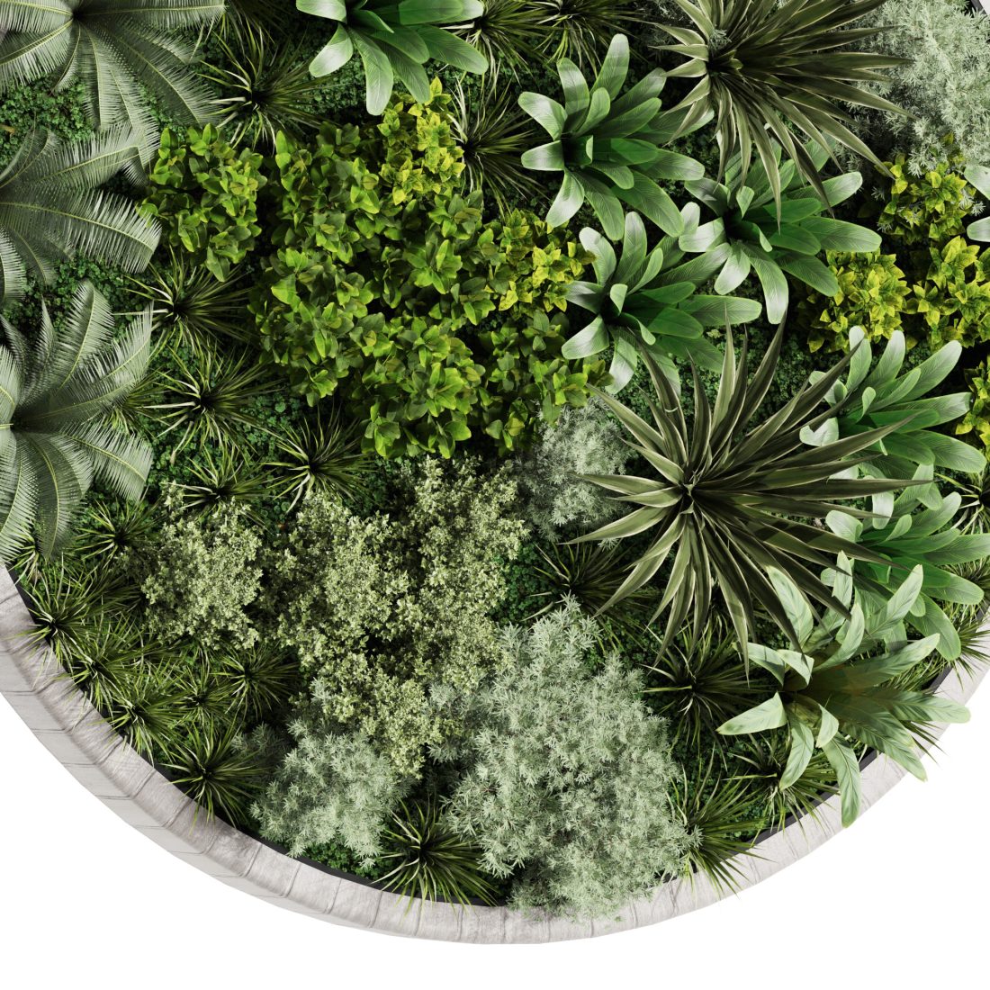 Circle Fitowall Plant Frame -set01 3D Model for VRay, Corona | CGMood