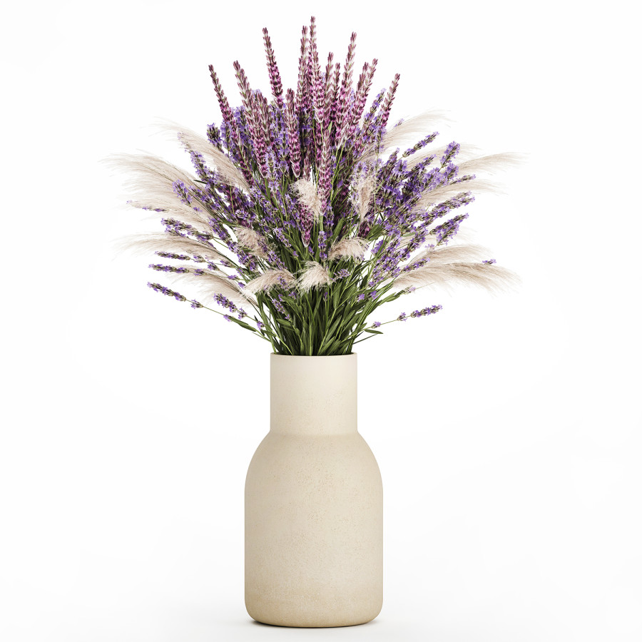 White Bouquet Of Dried Flowers Lovanda Branches 3D Model for VRay | CGMood