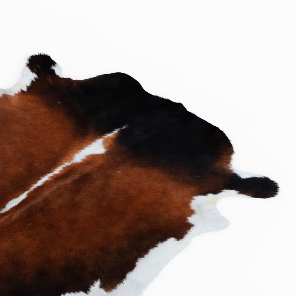 Four Rugs From Animal Skins 04 - 3D Model for VRay