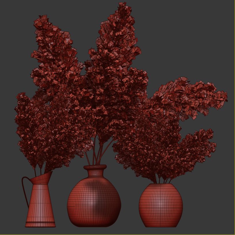 Dry Flower Collection 2 - 3D Model for VRay, Corona