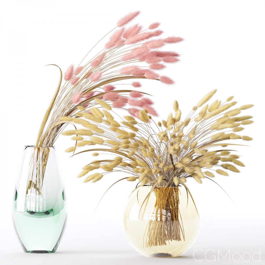 Dry Flower Collection 9 - 3D Model for VRay, Corona