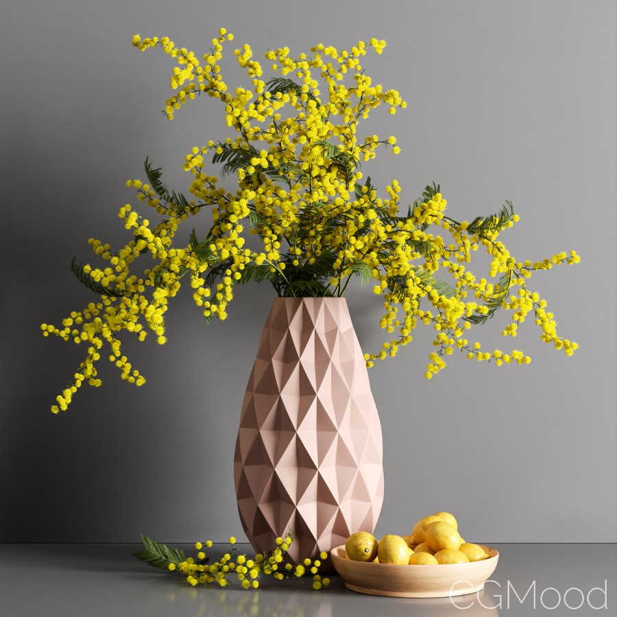 Decorative Mimosa Lemon - 3D Model for VRay, Corona