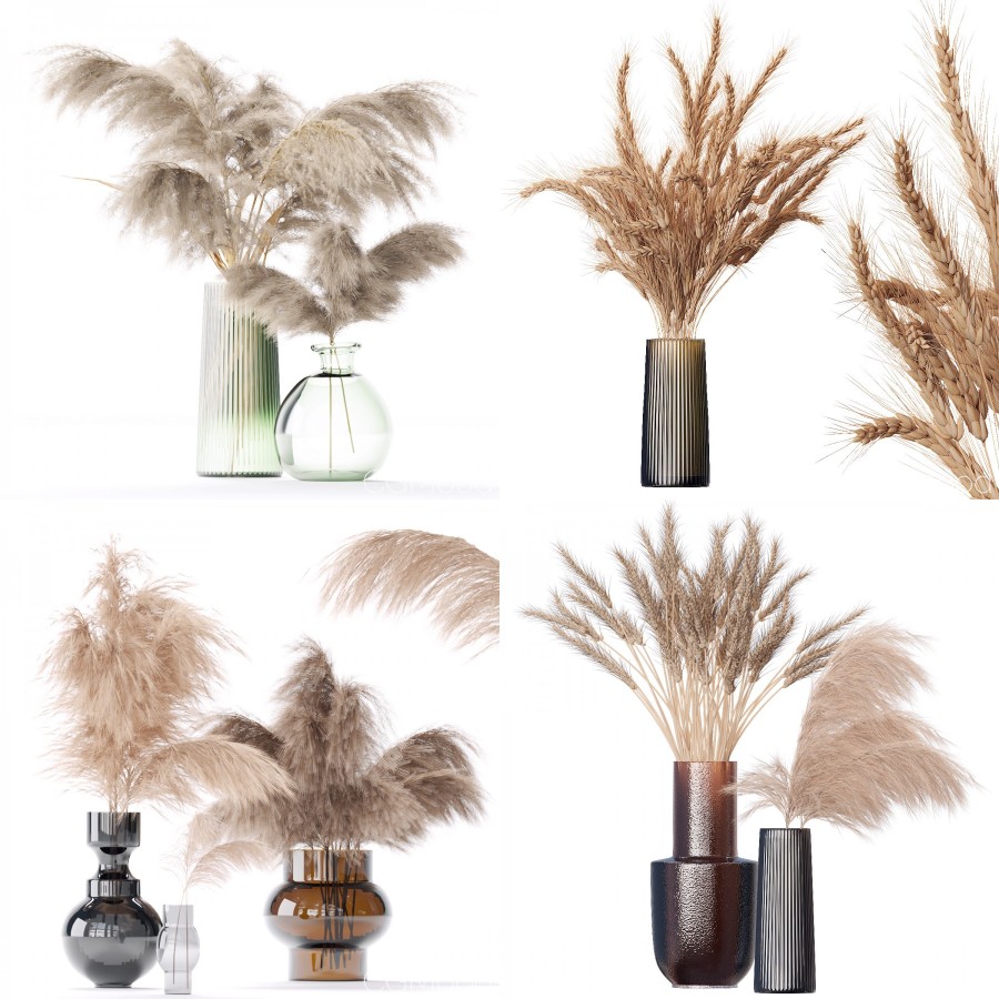 Dry Flower Collection 11 - 3D Model for VRay, Corona