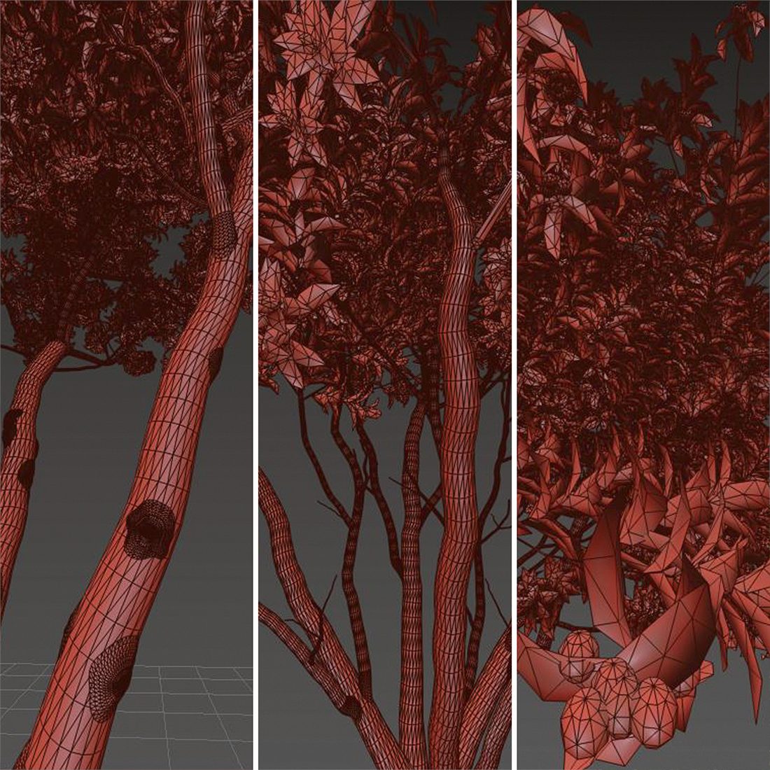 Set Of Eriobotrya Japonica Tree (loquat) (3 Trees) - 3D Model for VRay