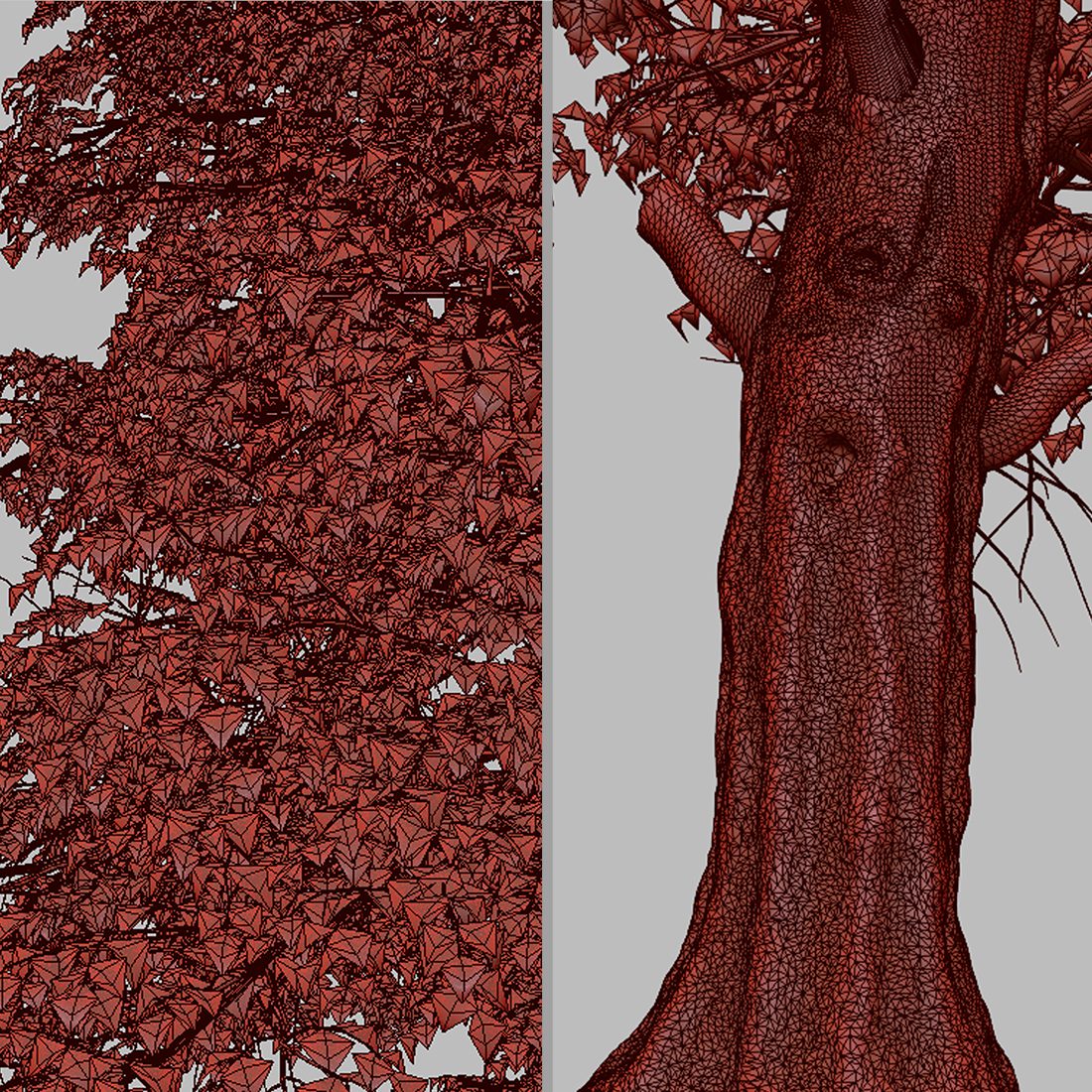 Set Of White Alder Tree (alnus Rhombifolia) - 3D Model for VRay
