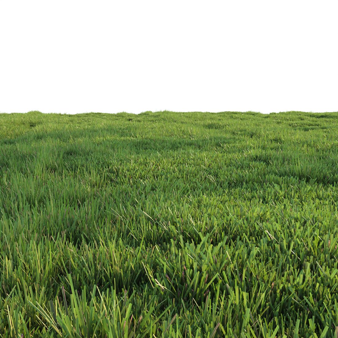 Grass For Landscape 3D Model for VRay, Corona | CGMood