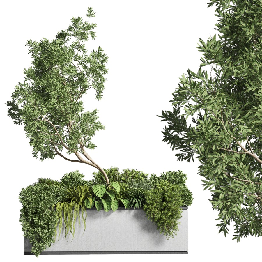 Box Pot Plant For A Collection Of Houseplants 166 - 3D Model for VRay ...