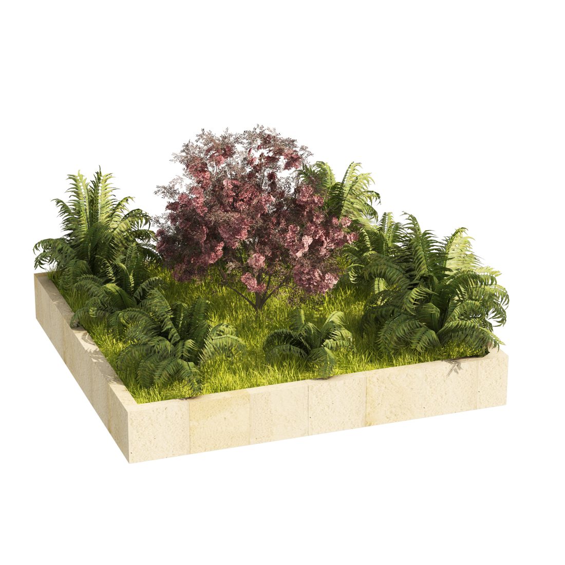 Garden Border Plant Set, Low Poly - 3D Model for VRay, Corona