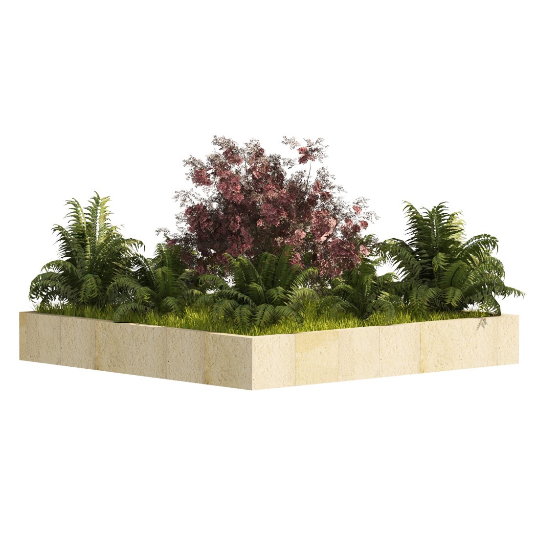 Garden Border Plant Set, Low Poly - 3D Model for VRay, Corona