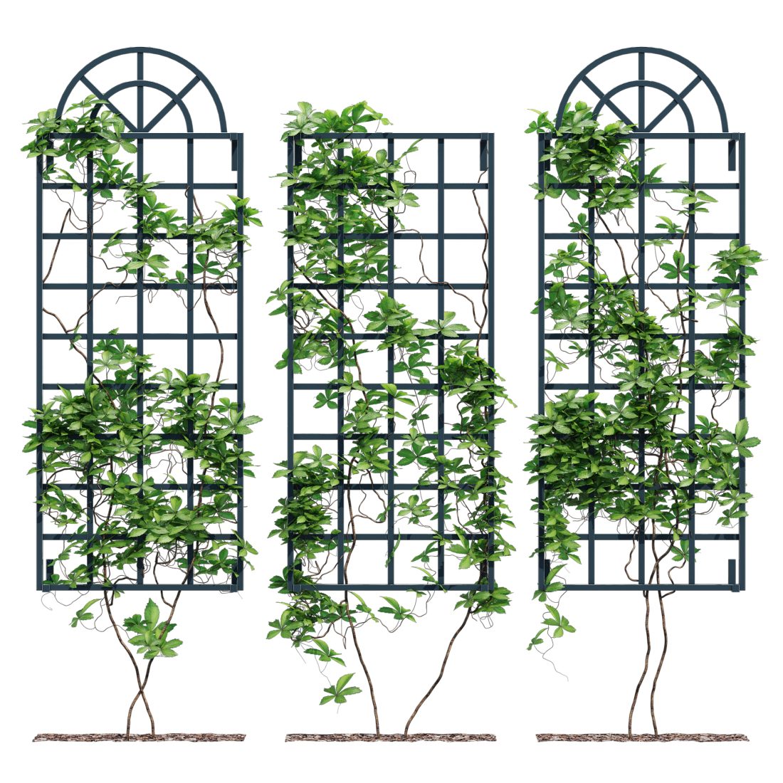 Wall Trellis One - 3D Model for VRay, Corona