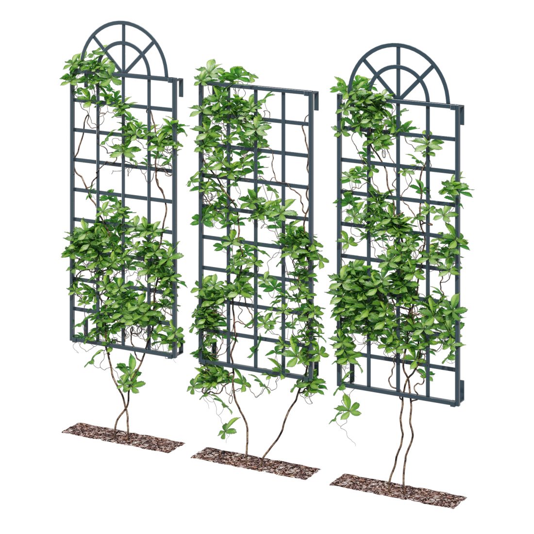 Wall Trellis One - 3D Model for VRay, Corona