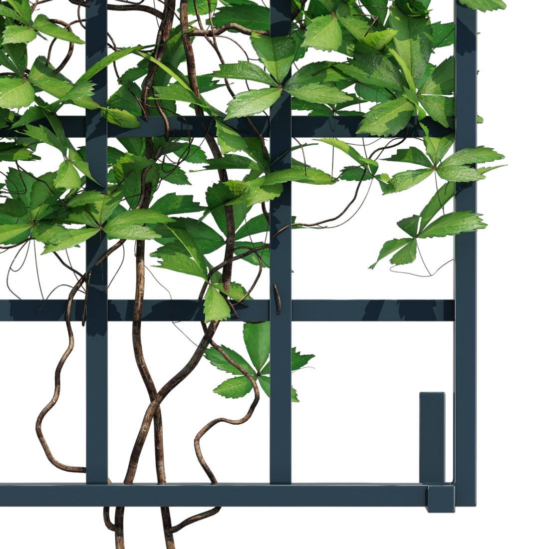 Wall Trellis One - 3D Model for VRay, Corona