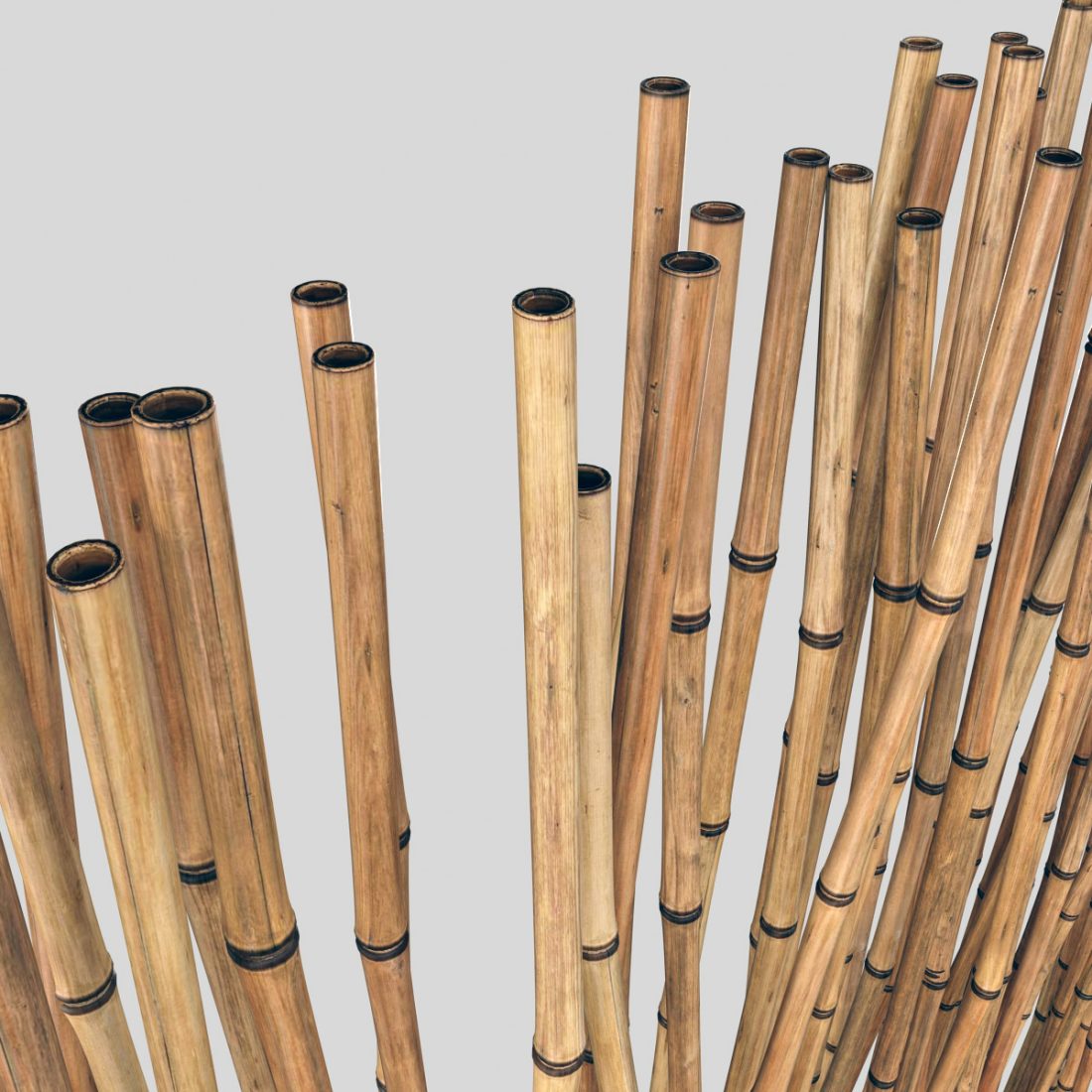 Bamboo Low Decor N5 - 3D Model for VRay, Corona