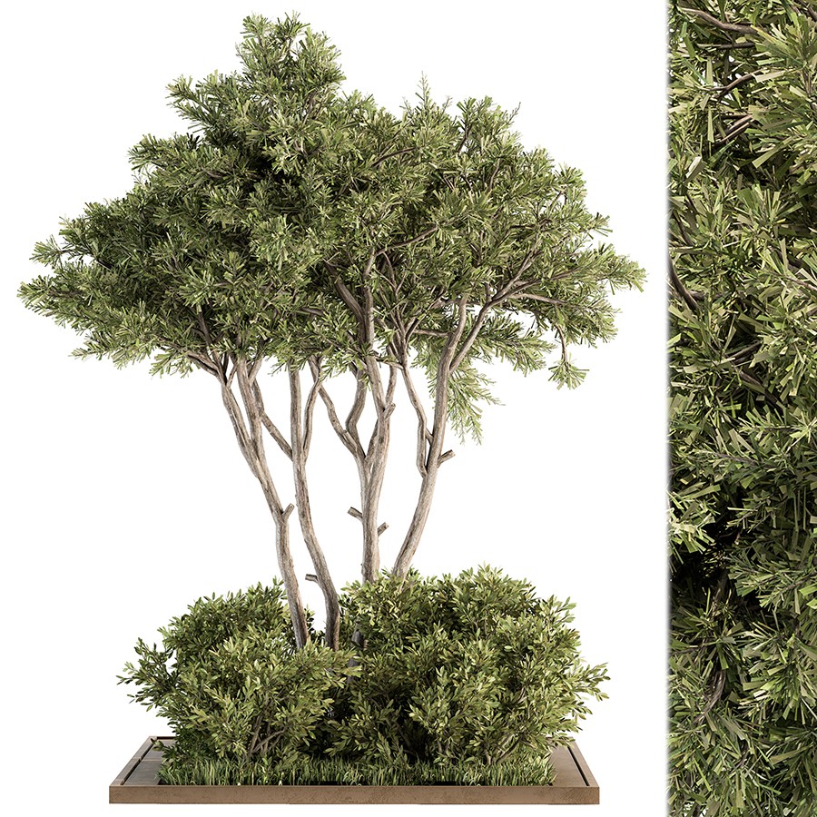 Garden Set Tree And Bush - Garden Set 21 3D Model for VRay, Corona | CGMood