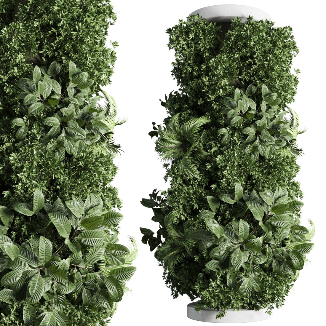Column Plant - Pillar Plant 02 - 3D Model for VRay, Corona