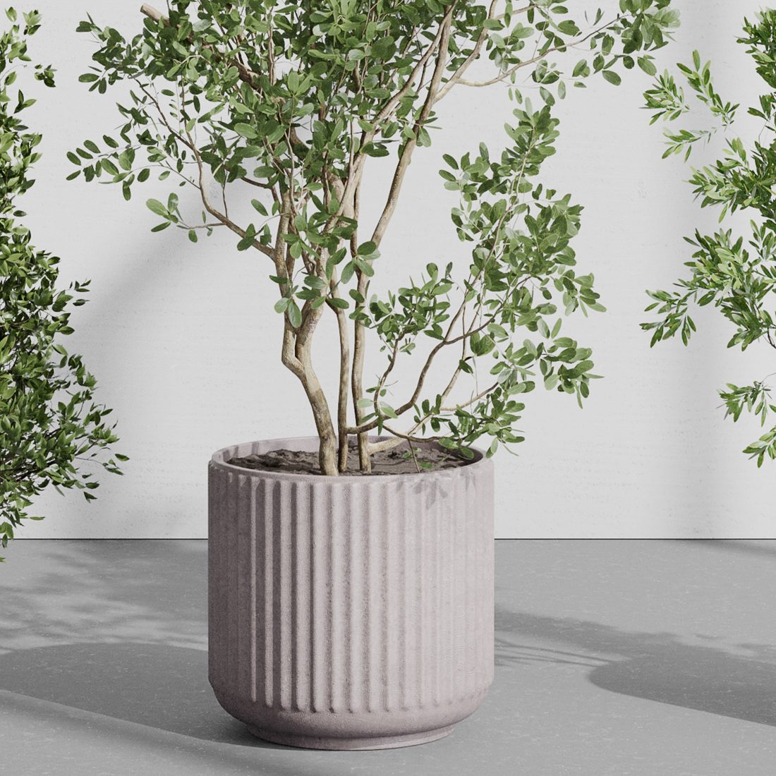 A Collection Trees In A Concrete Dirty Vase - Indo 3D Model for VRay ...