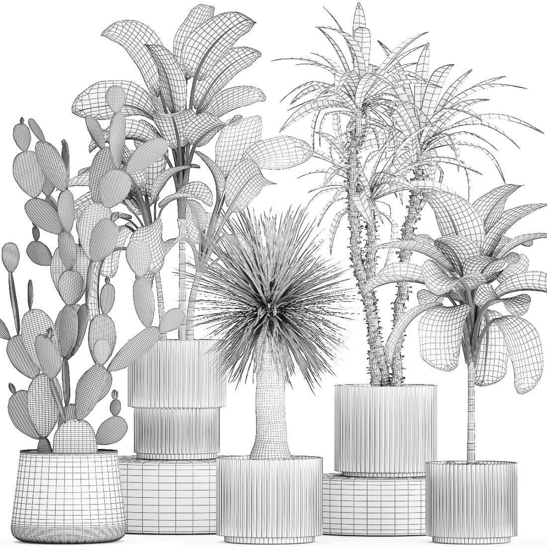 Set Of Beautiful Desert Plants In Flowerpot 1321 3D Model for VRay | CGMood