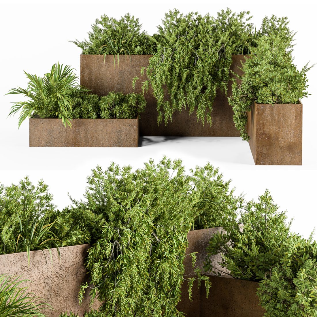 Outdoor Plant 377- Wooden Plant Box - 3D Model for VRay, Corona