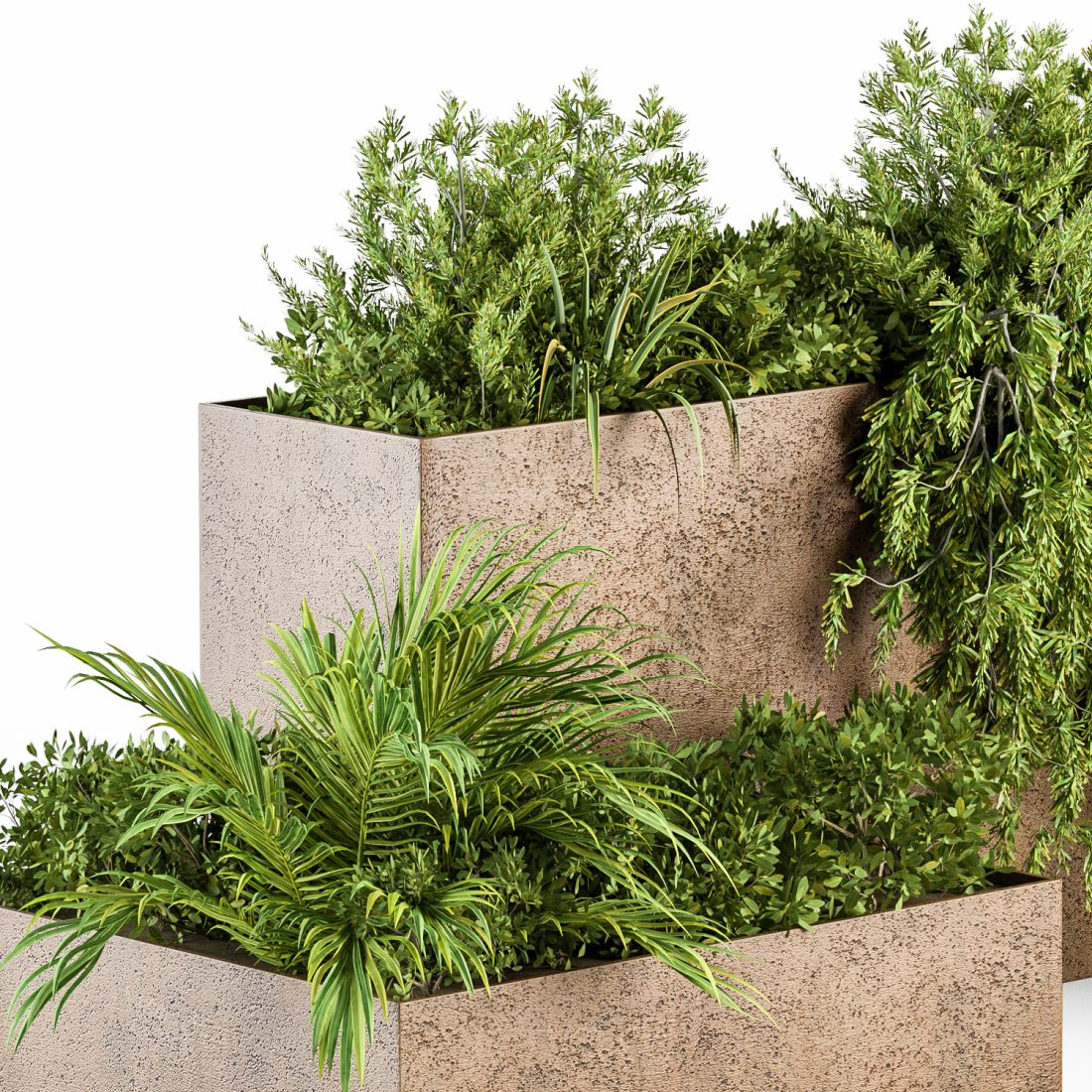 Outdoor Plant 377- Wooden Plant Box - 3D Model for VRay, Corona
